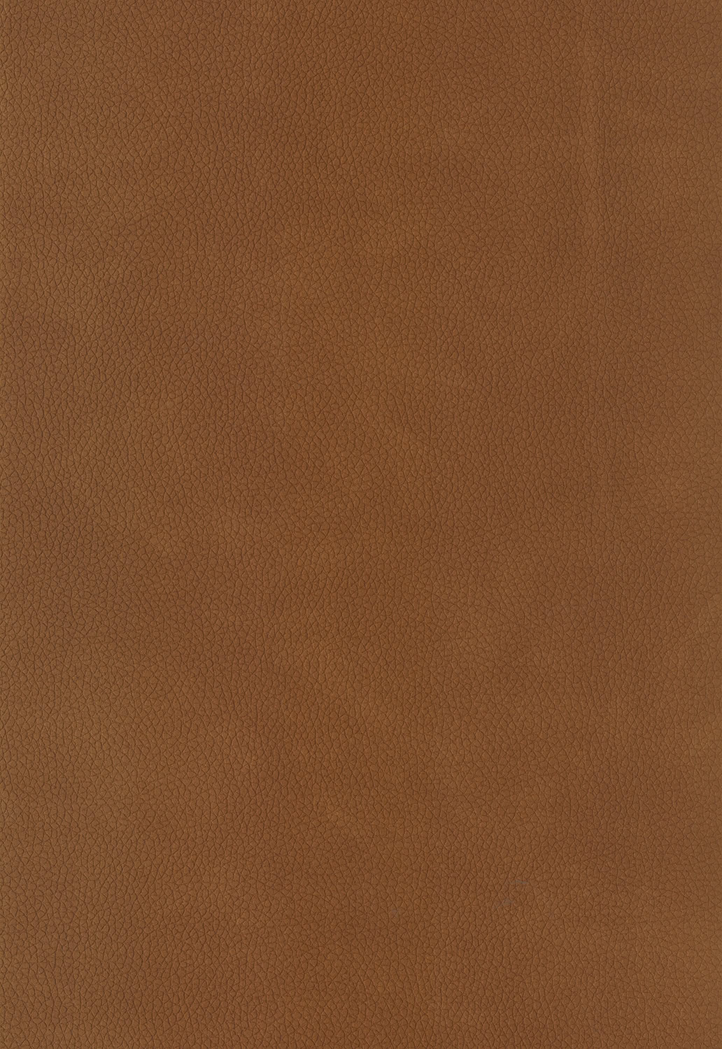 Massa - Saloni Furniture